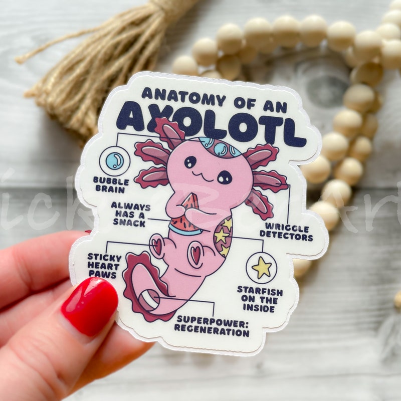 Axolotl Sticker - Etsy