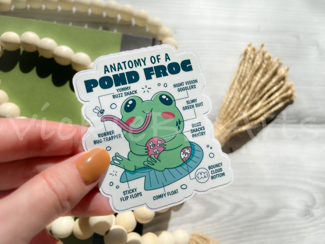 Frog Anatomy Waterproof Sticker, Pond Frog Cute Sticker, Sticker With a ...
