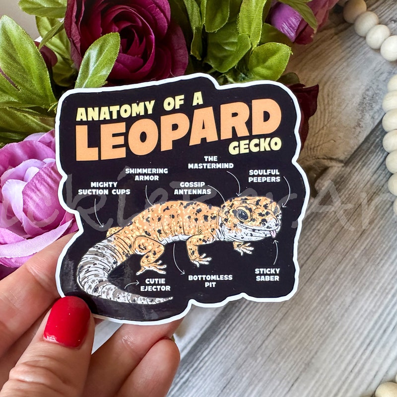 Leopard Gecko - Etsy