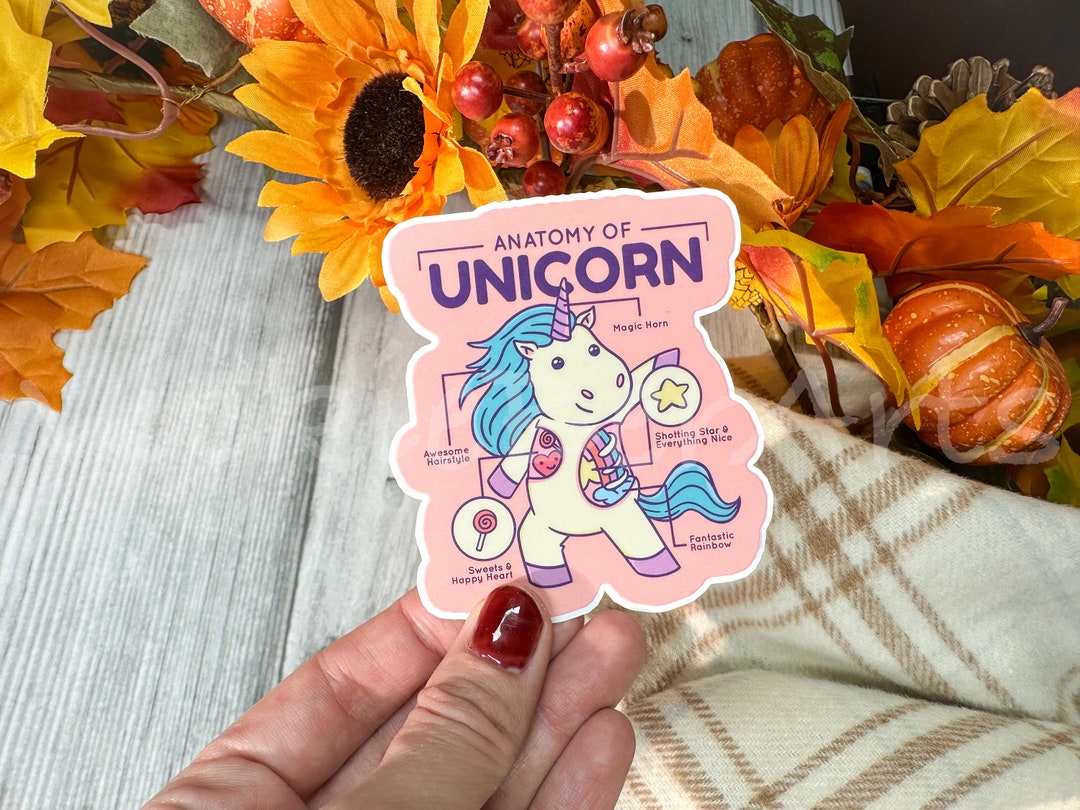 Unicorn Anatomy Waterproof Sticker, Rainbow Unicorn Cute and Funny ...