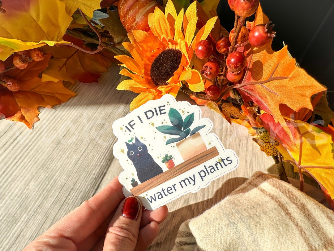 Funny Cat and Plants Waterproof Sticker, Black Cat Sticker, Humor House ...