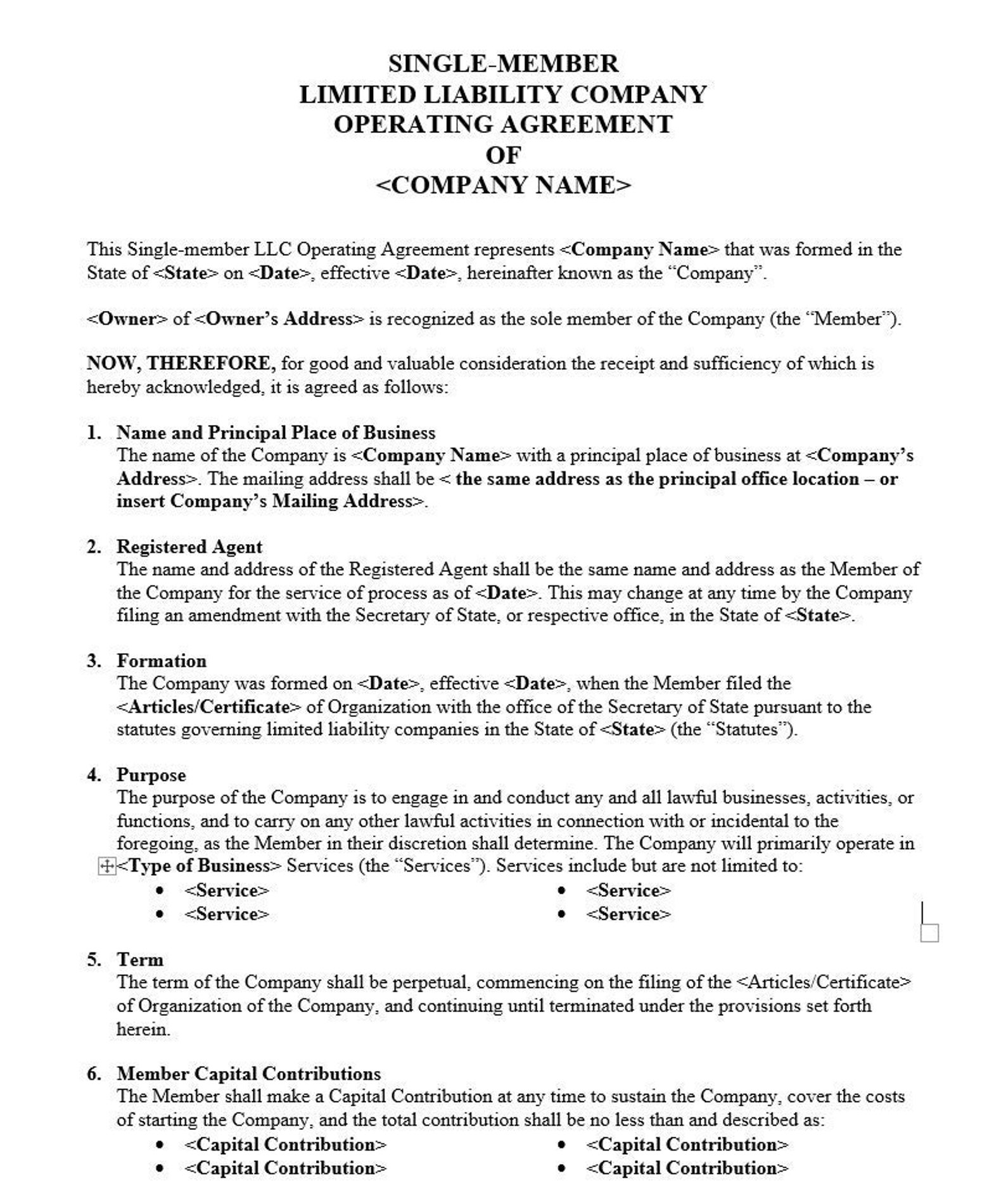 Single-member Limited Liability Company Operating Agreement - Etsy