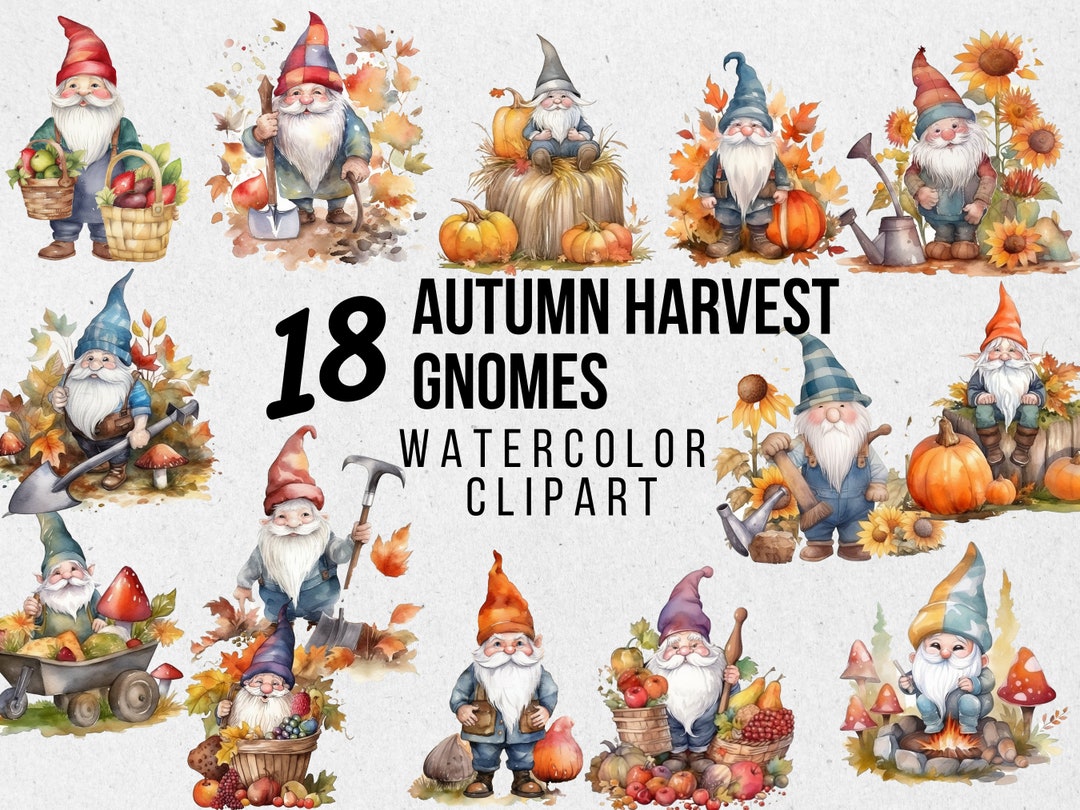 Autumn Harvest Gnomes Clipart, Gardenn Gnnomes Watercolor, Gnomes Png ...