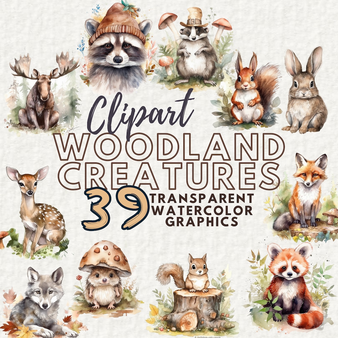 Clipart Watercolor Woodland Animals, Clipart for Commercial Use ...
