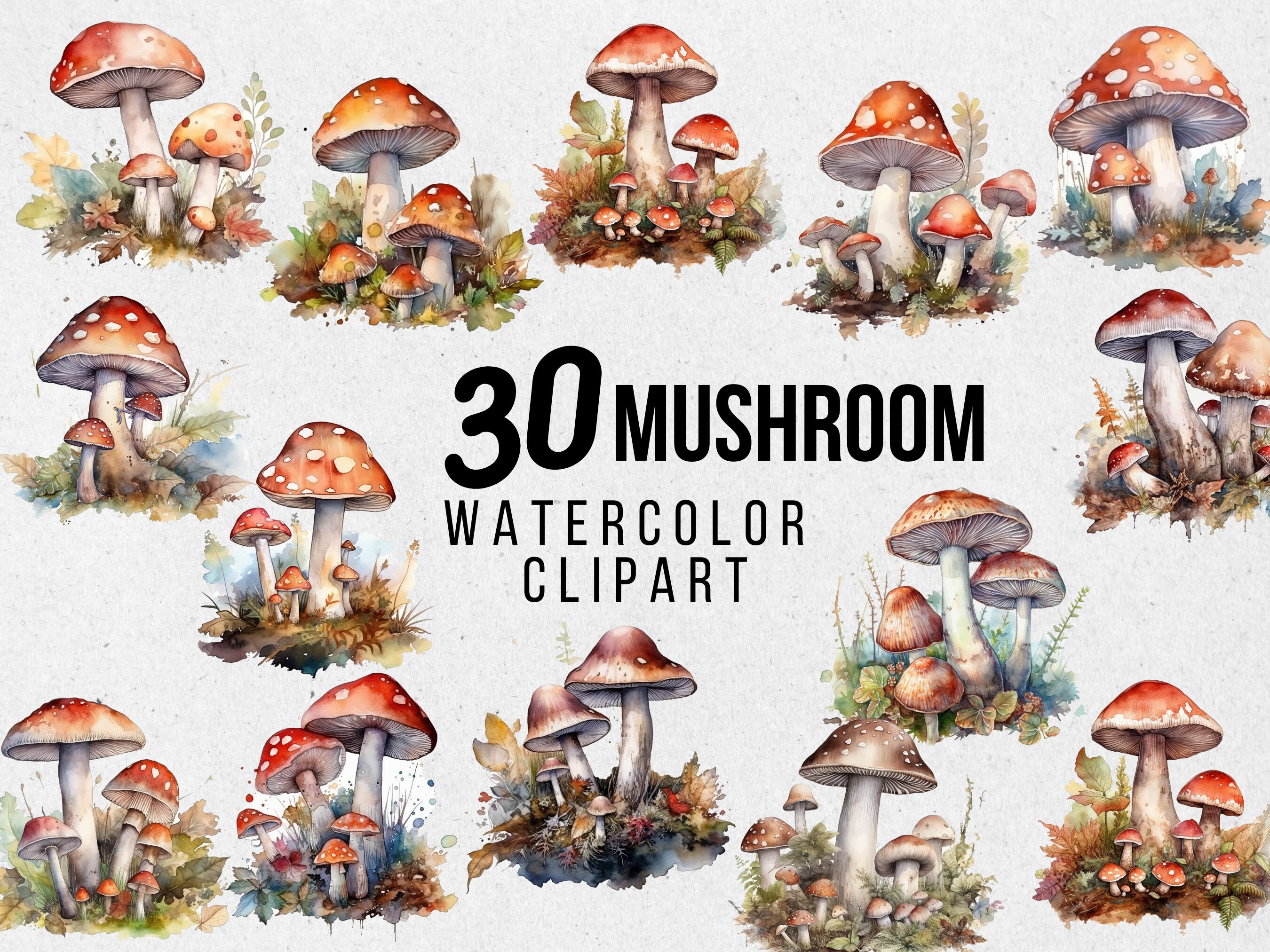 Watercolor Mushrooms Clipart Cute Forest Nature Mushrooms Clip Art PNG ...