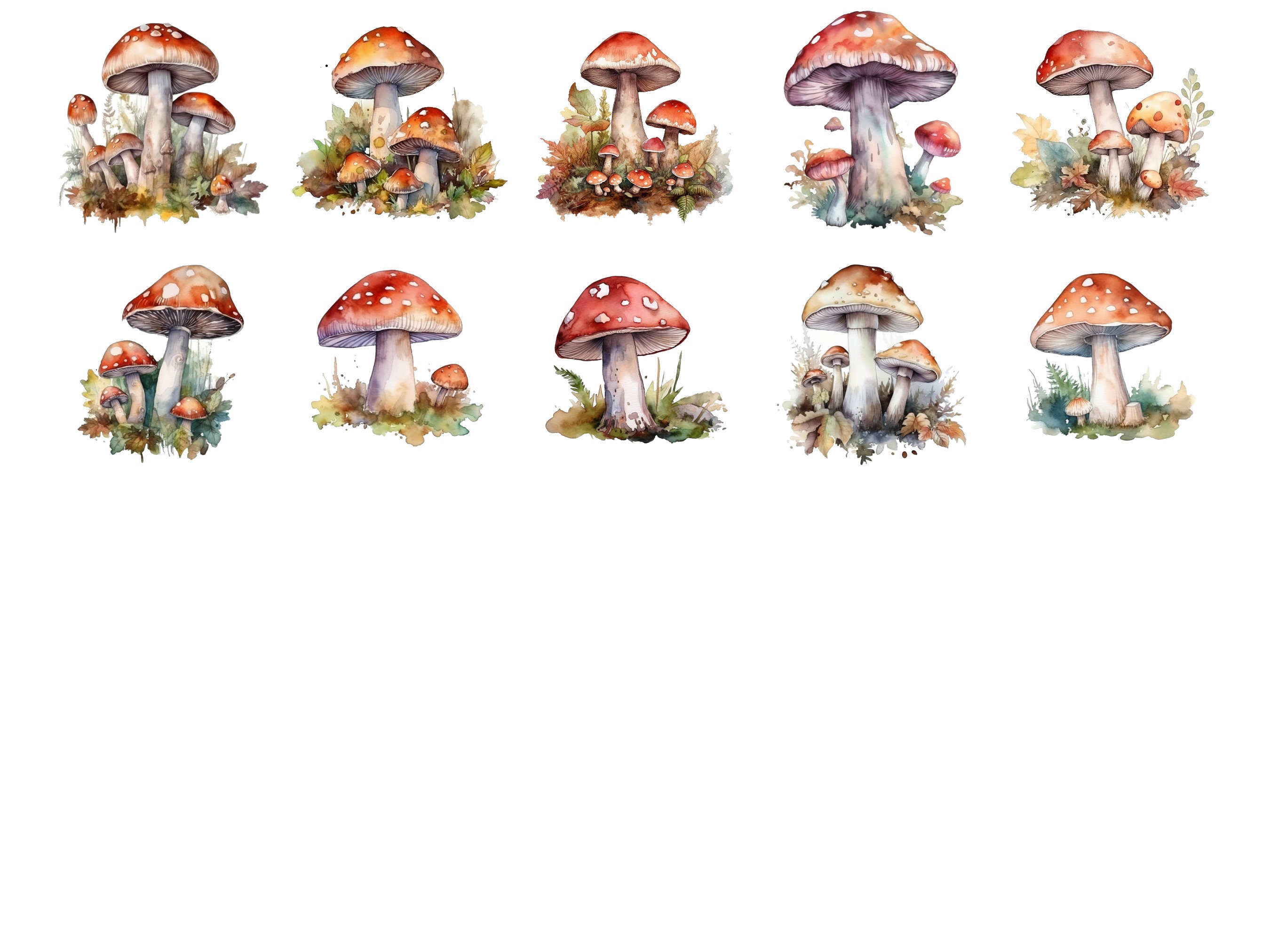 Watercolor Mushrooms Clipart Cute Forest Nature Mushrooms Clip Art PNG ...
