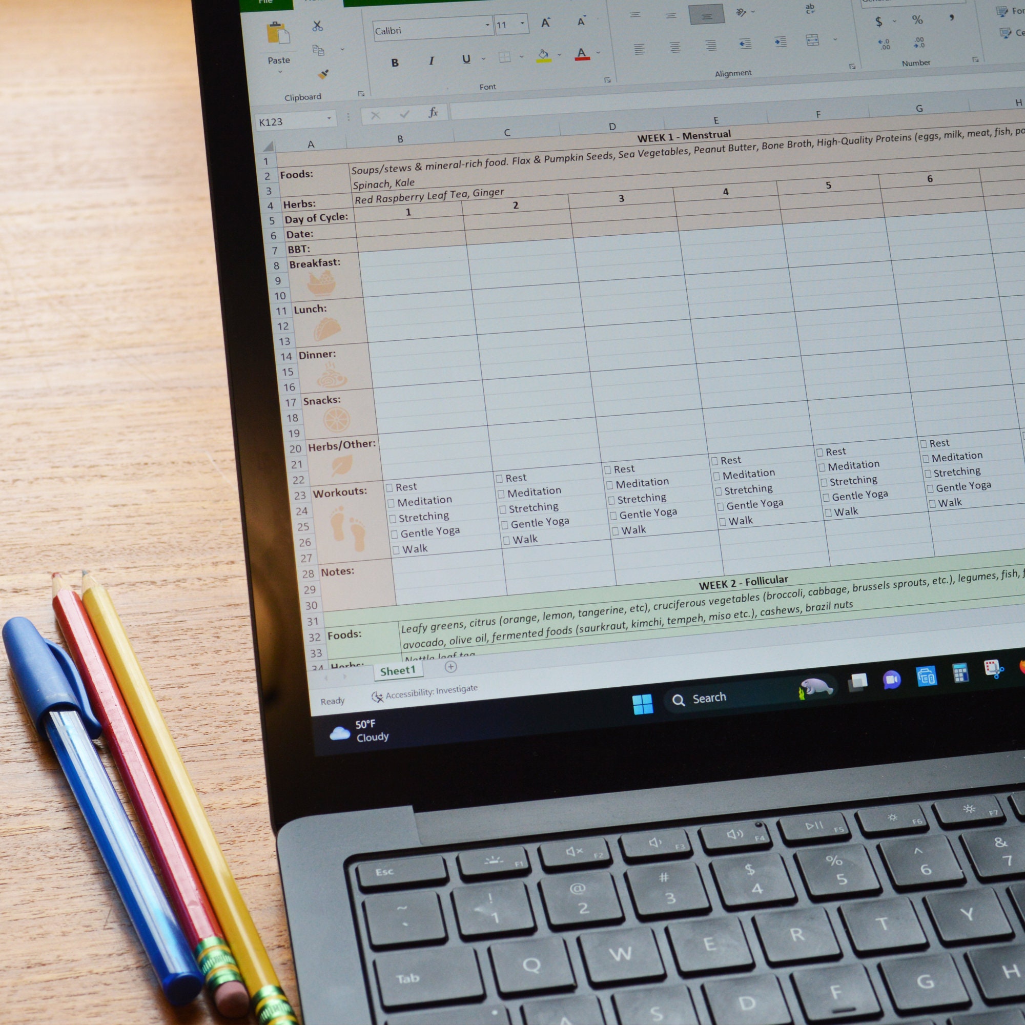 Cycle Syncing Worksheet Excel Digital Download - Etsy