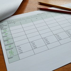 Cycle Syncing Worksheet | Excel Digital Download - Etsy