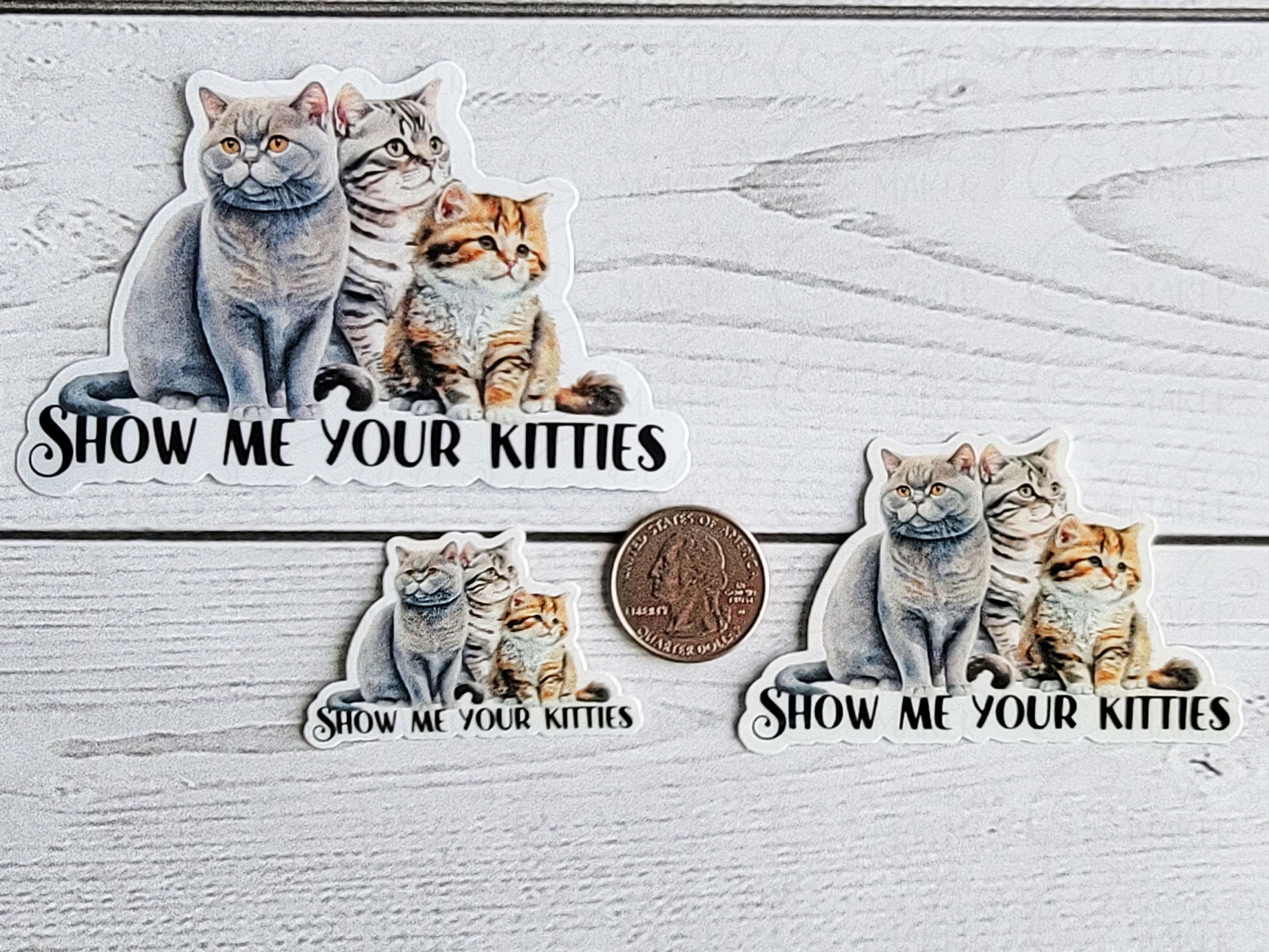 Show Me Your Kitties Kitten Vinyl Sticker Decal Die-cut - Etsy