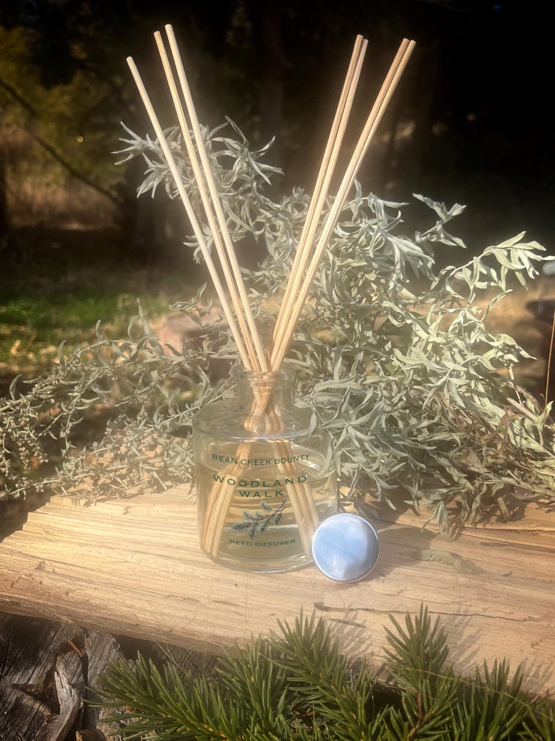 Reed Diffuser--woodland Walk With Fresh Evergreen - Etsy