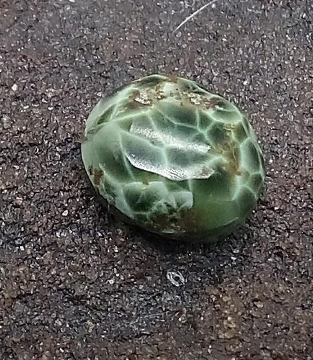 Finished Oval Cab 6mm X 6.5mm X 2mm High, "isle Royale" Lake Superior ...