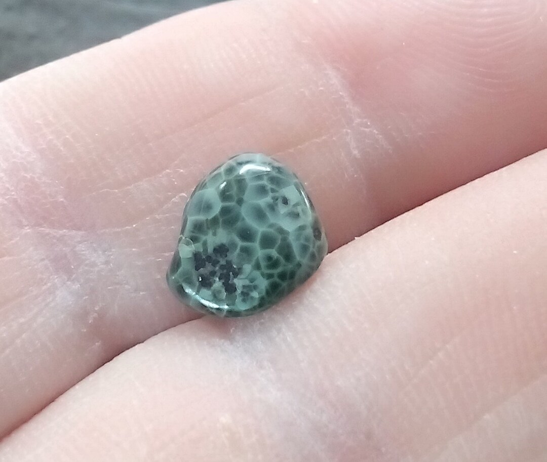 Isle Royale Lake Superior Michigan Greenstone chlorastrolite Gemstone ... Isle Royale Lake Superior Michigan Greenstone chlorastrolite Gemstone ...
