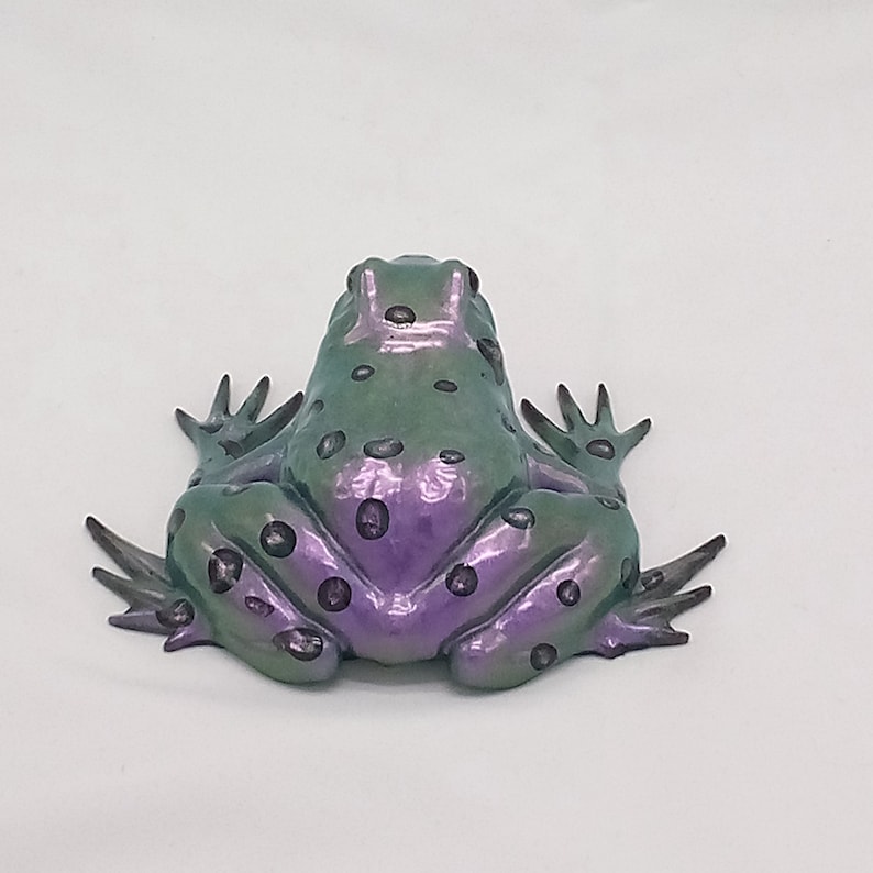 Stunning Iridescence Coloring Changing Frog With Water Drop Effects ...