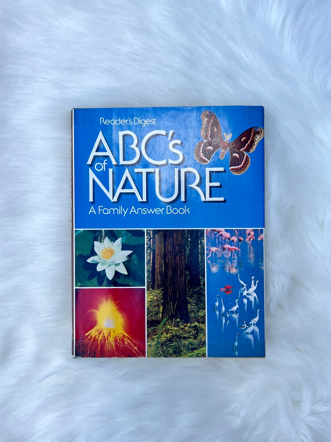 1984 Vintage Abc's of Nature A Family Answer Book by Readers Digest ...