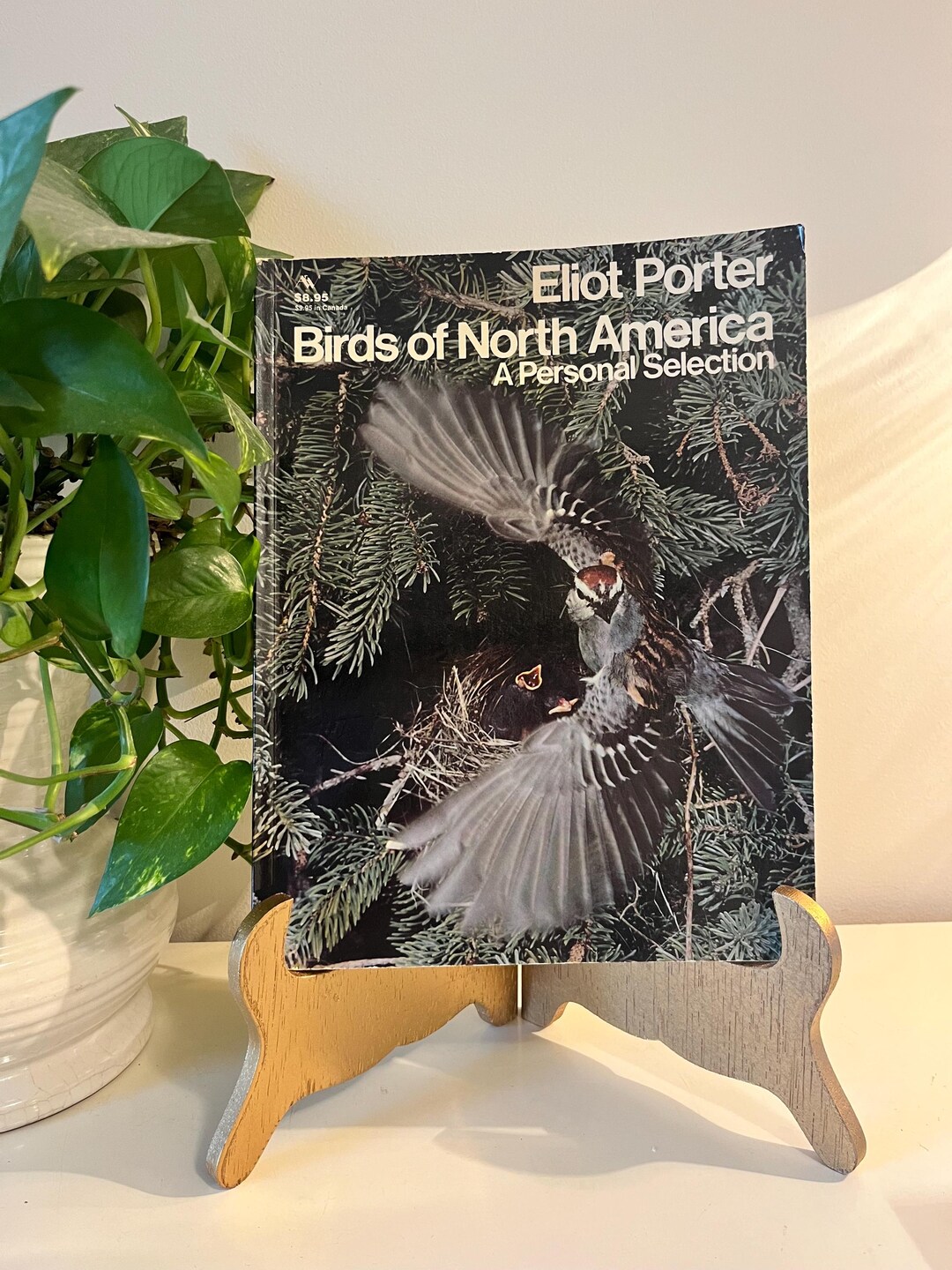 Eliot Porter Birds of North America A Personal Selection Softcover - Etsy