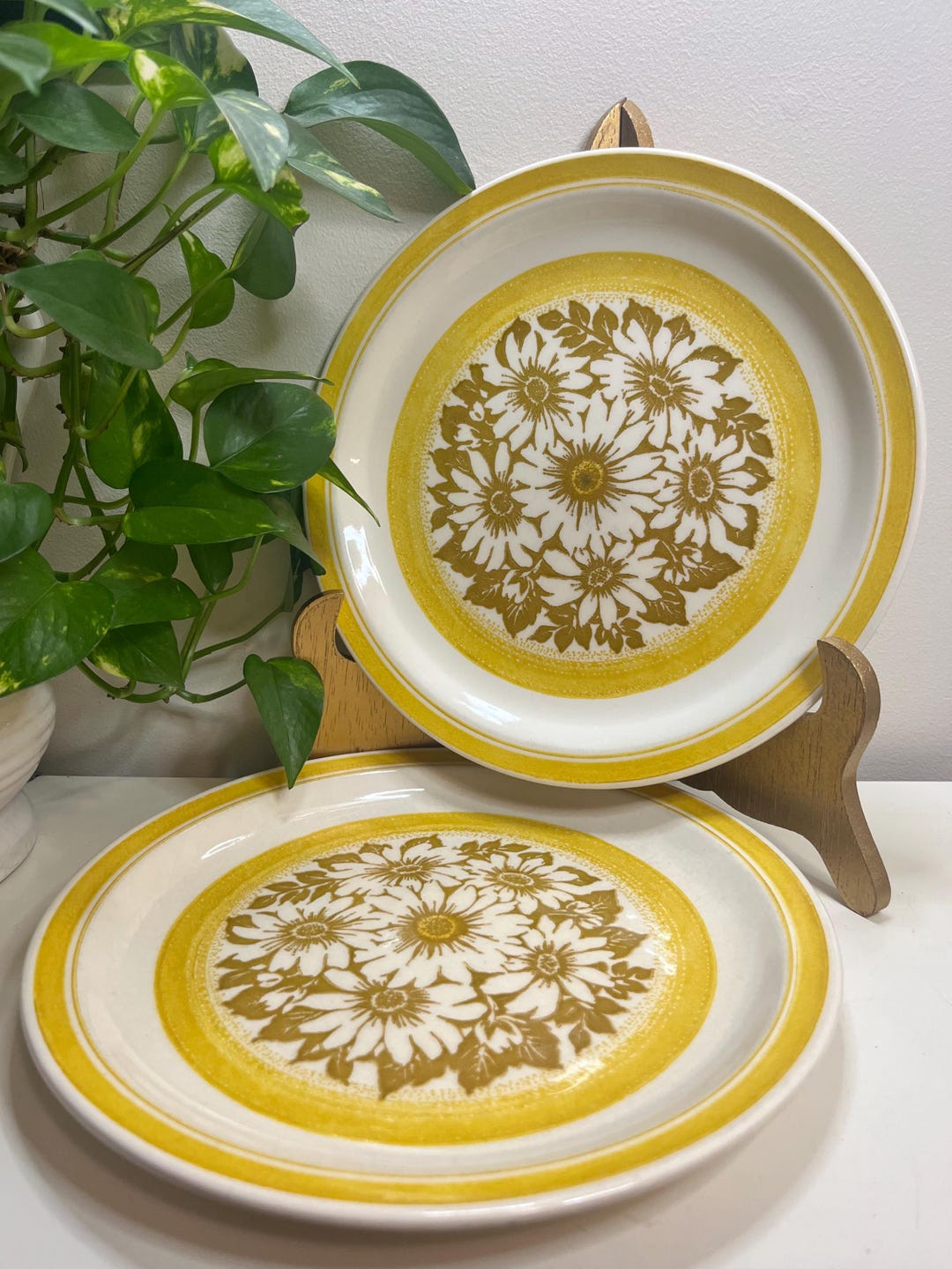 MCM Dinner Plates - Jamestown China USA Stoneware Dinner Plates ...
