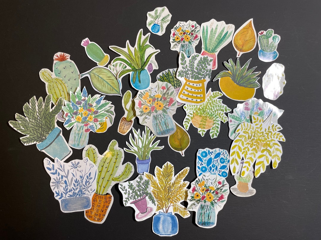 Digital House PLANT Stickers, Set of 12 Random 2, 3 Transparent, You ...