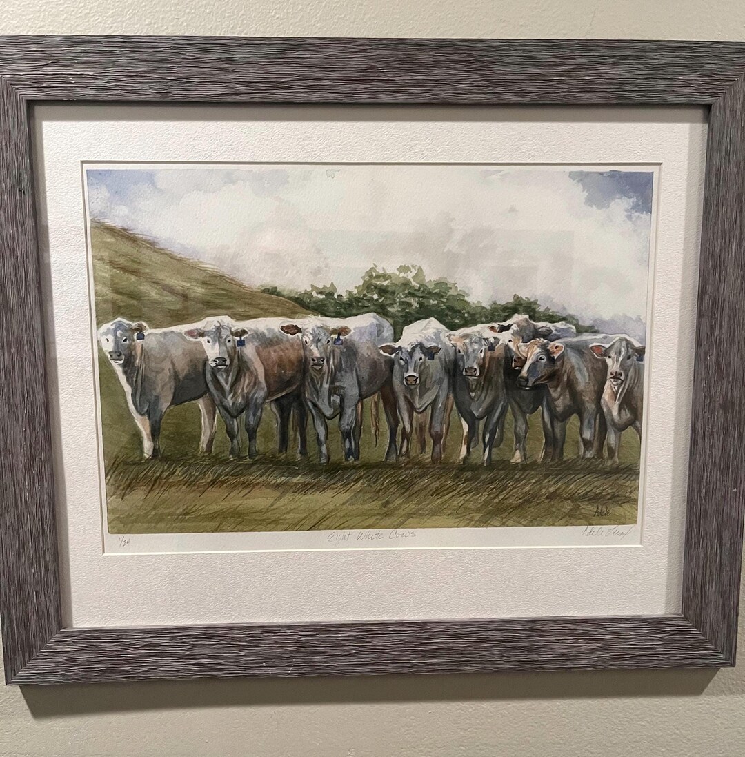 Eight White Cows, Limited Edition of 30. Giclee - Etsy