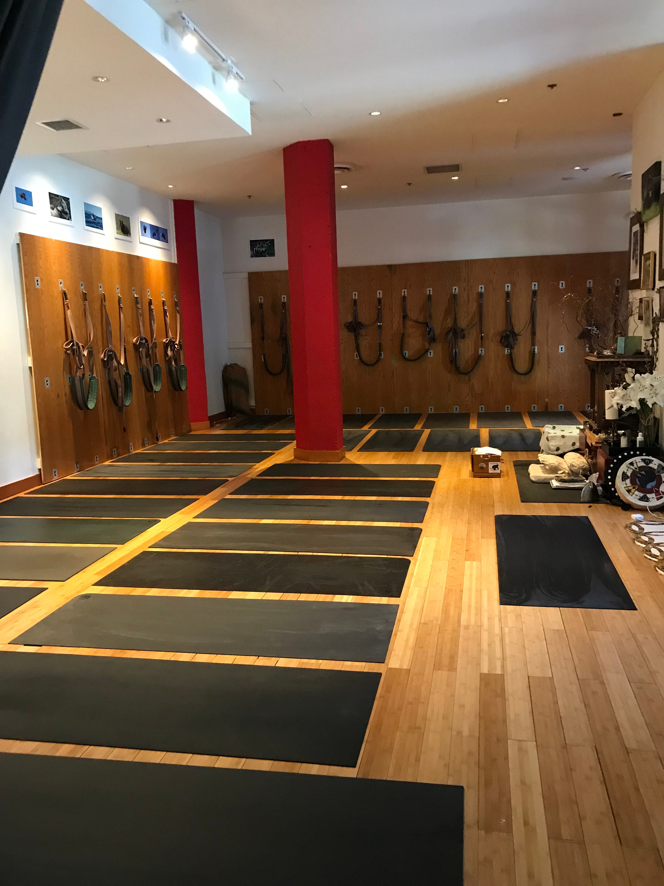 The Great Yoga Wall 9 Stations for Iyengar Wall Class's - Etsy