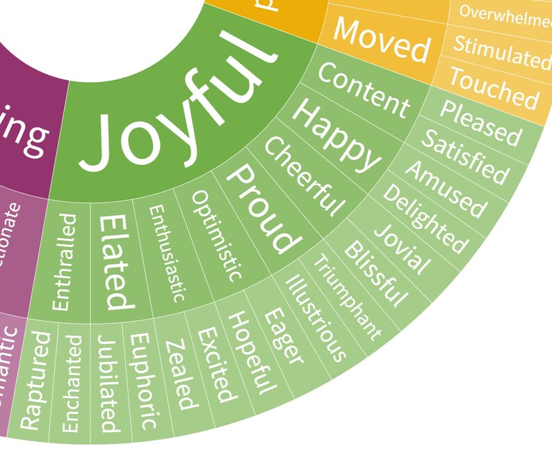 Emotion Wheel Digital Printable Interoception Mindfulness 109 - Etsy