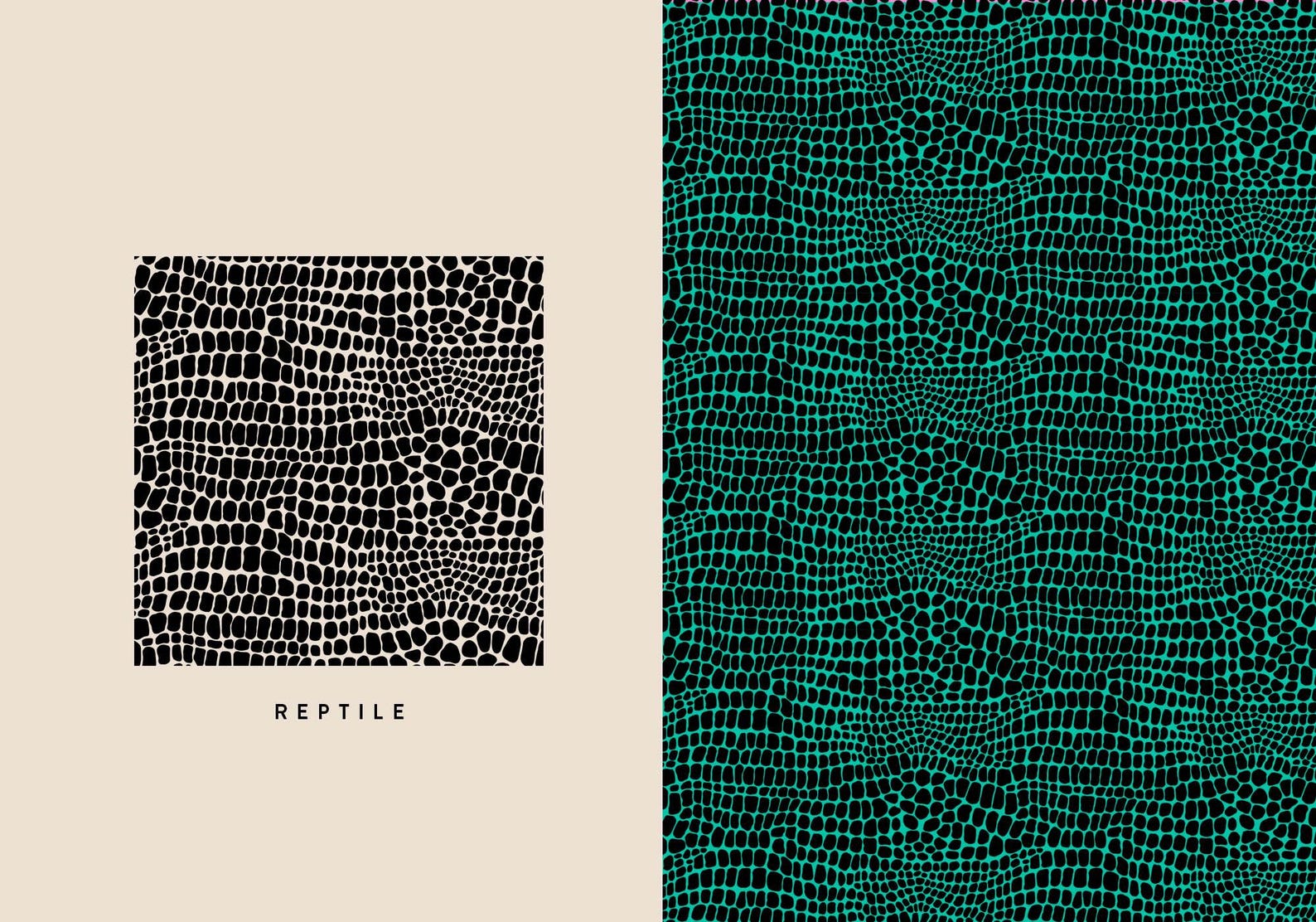 Seamless Animal Patterns Wild, Safari, Print, Repeating, Graphics ...