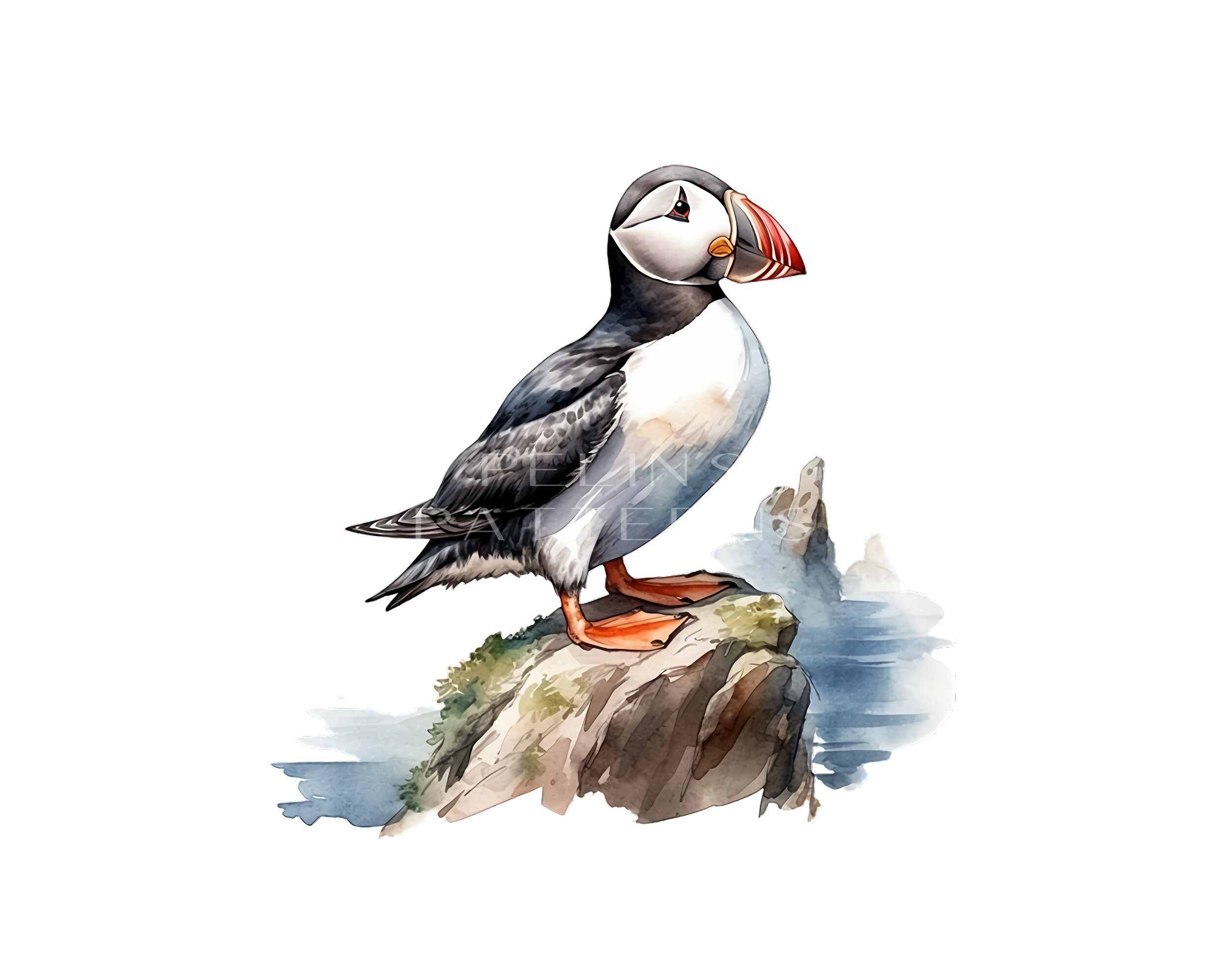 Atlantic Puffin Clipart PNG - Etsy