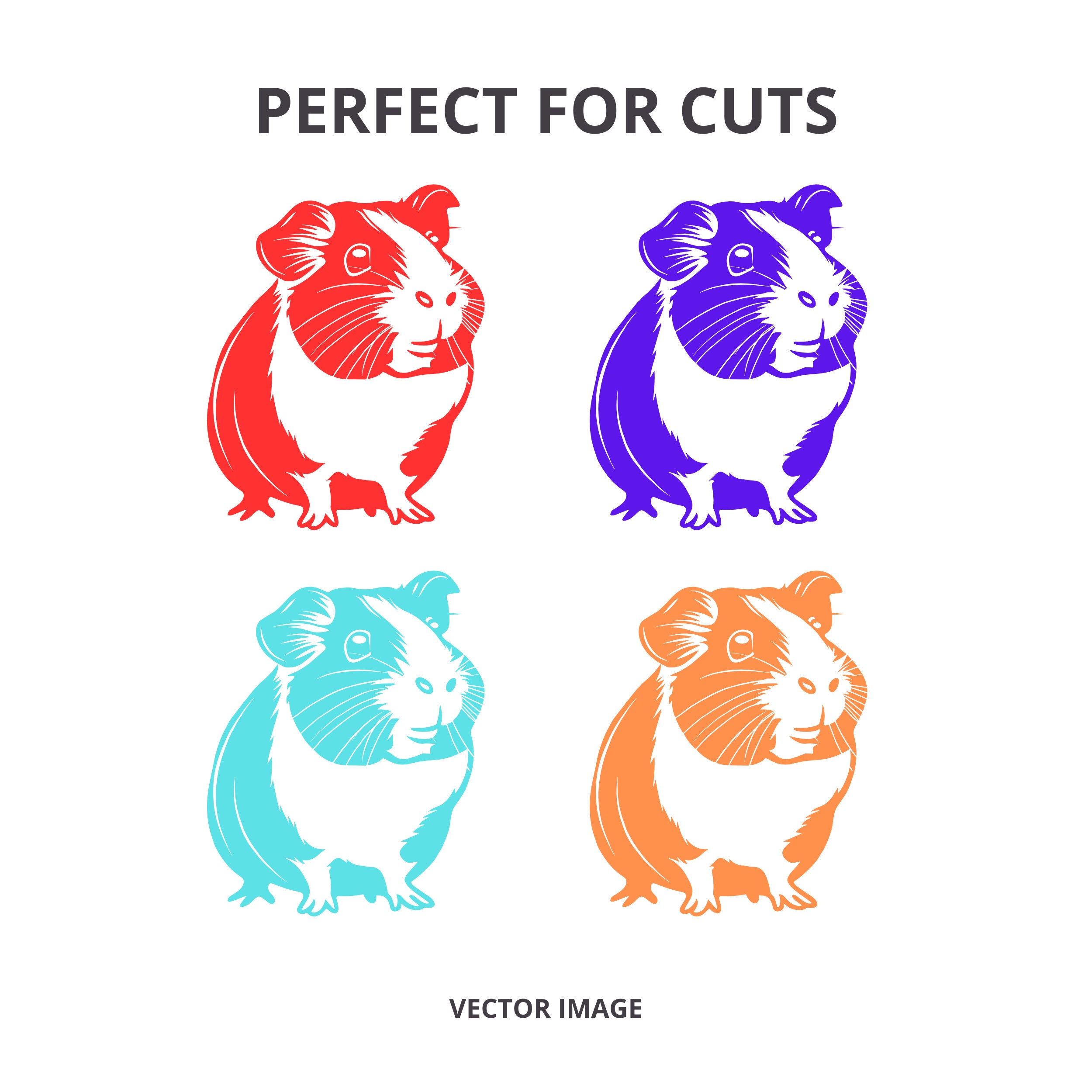 Guinea Pig Svg, Guinea Pig Clip Art - Etsy