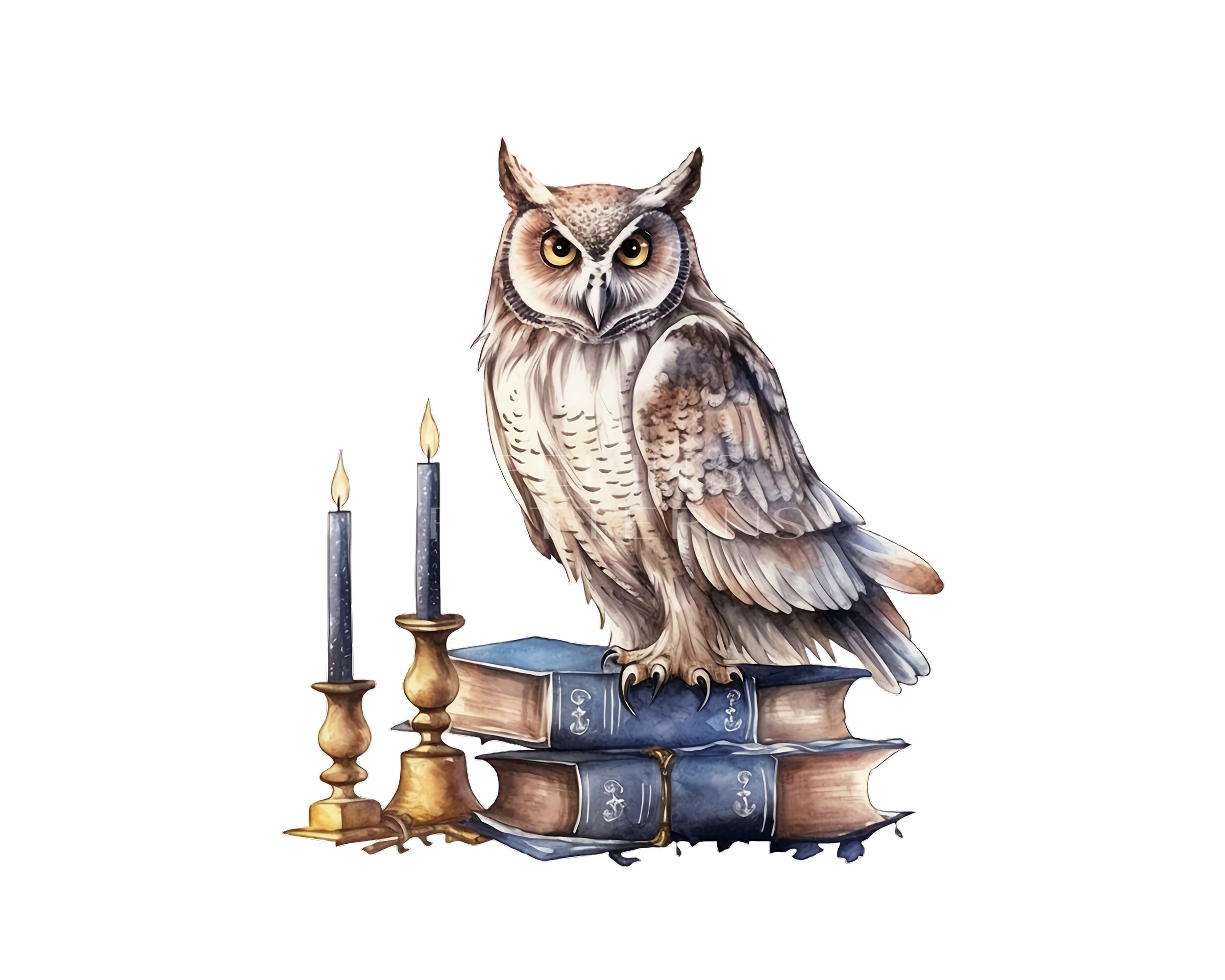Wise Owl Clipart PNG - Etsy