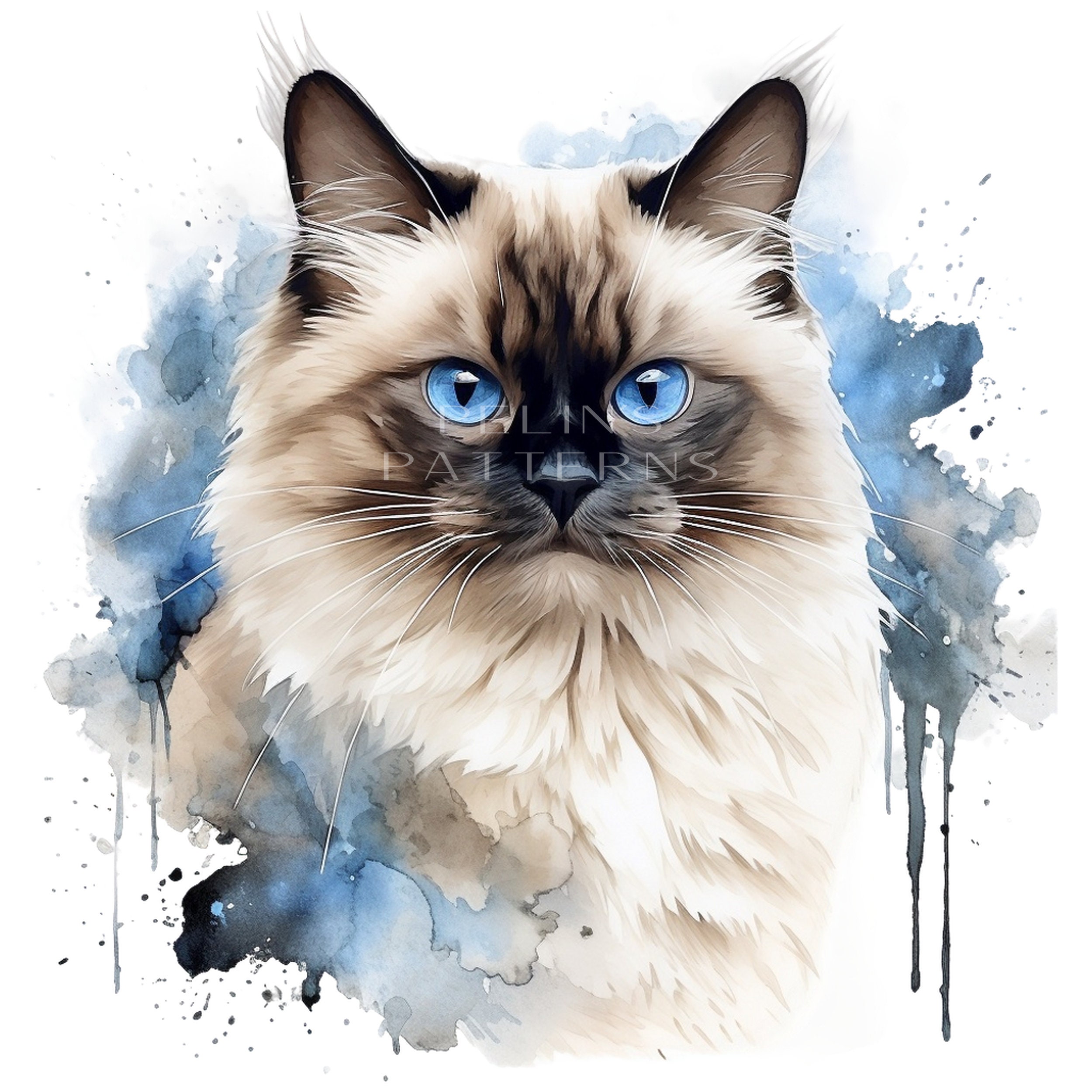 Birman Cat Png Clipart - Etsy