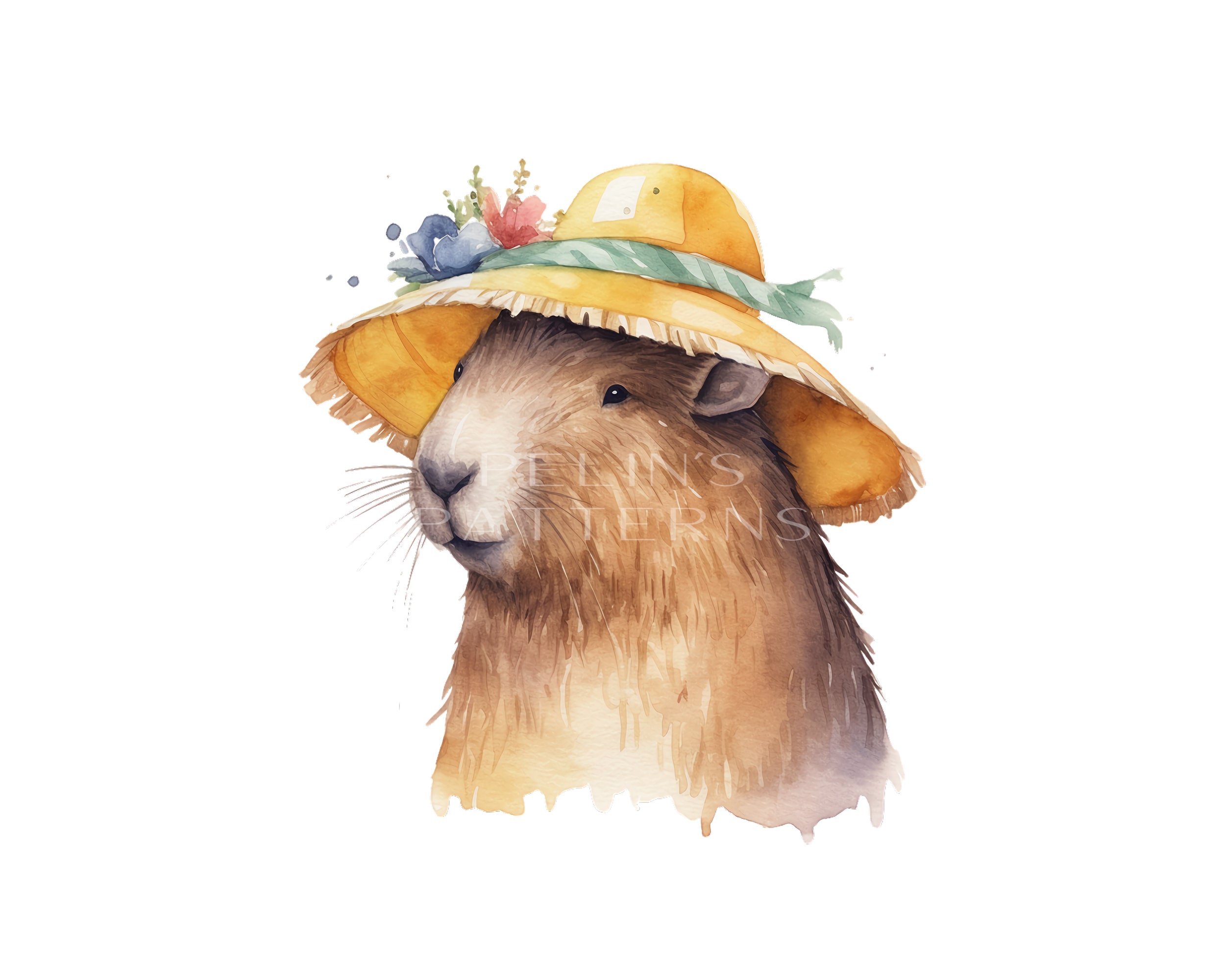 Capybara Clipart PNG - Etsy