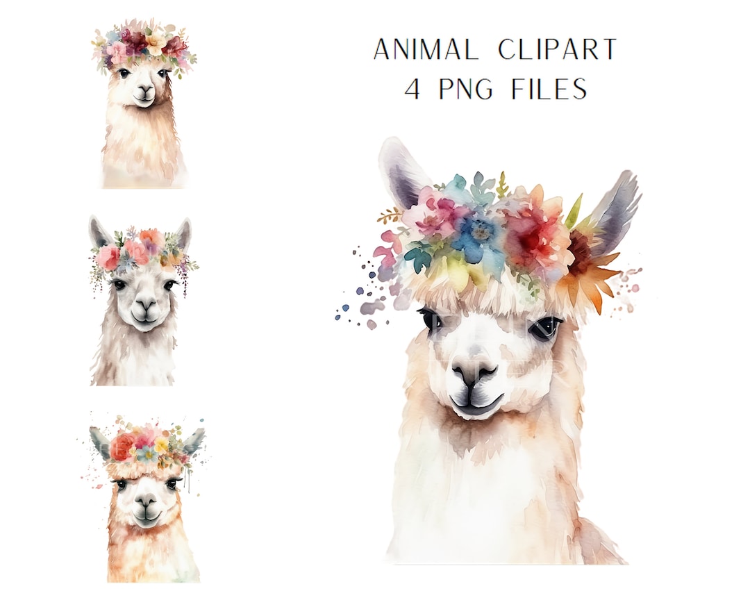 Alpaca Clipart PNG - Etsy