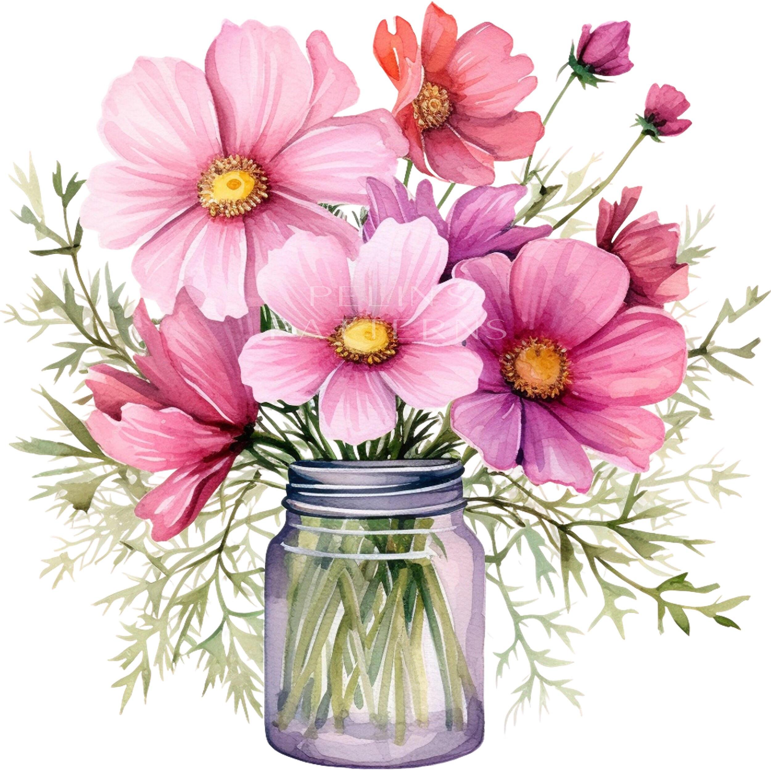 Cosmos PNG Clipart - Etsy