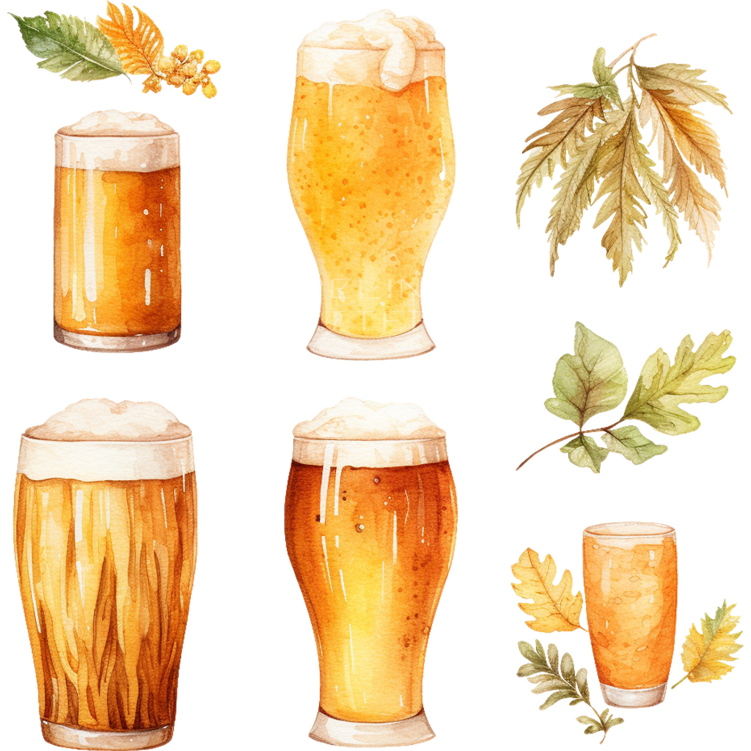 Beer Clipart PNG - Etsy