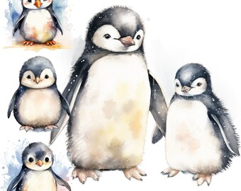 Clipart Cute Penguin Watercolor 3 JPEG - Etsy