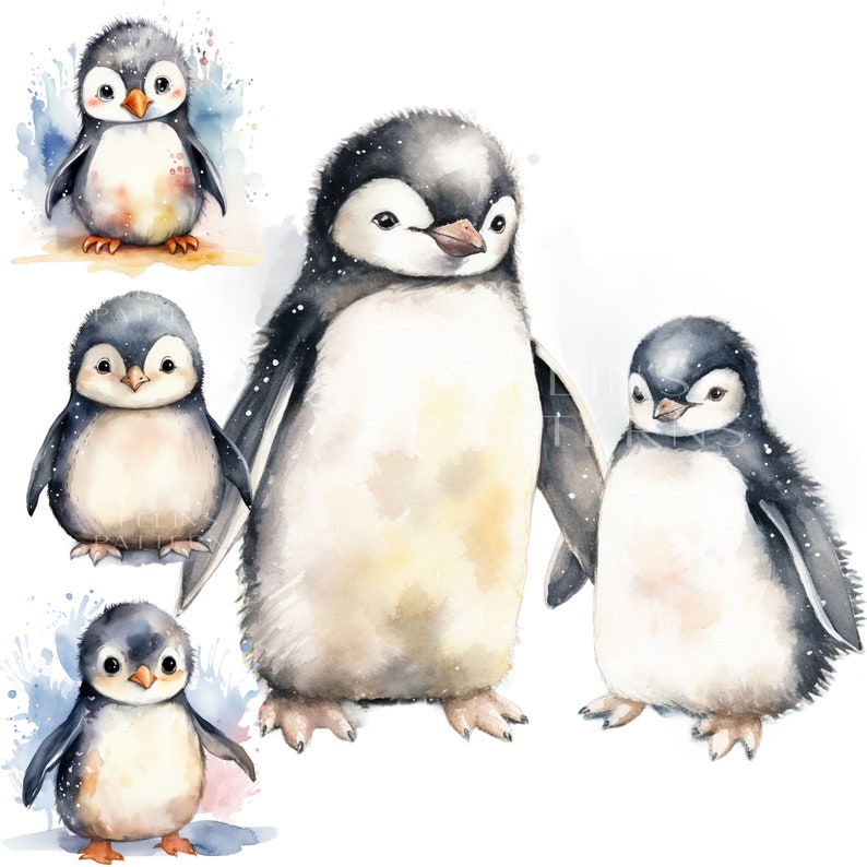 Watercolor Penguin Clipart PNG - Etsy