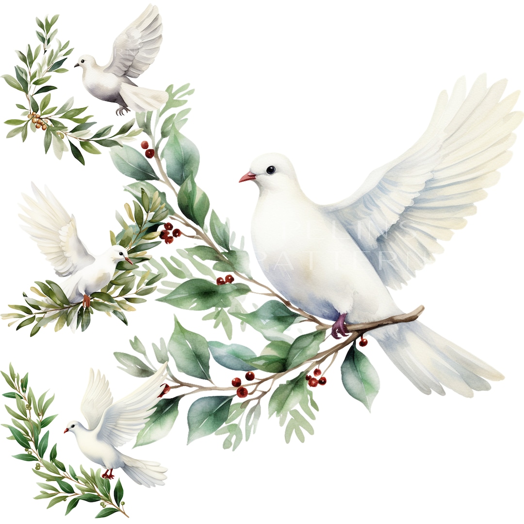 Christmas Dove Watercolor Clipart PNG Christmas Illustration - Etsy ...