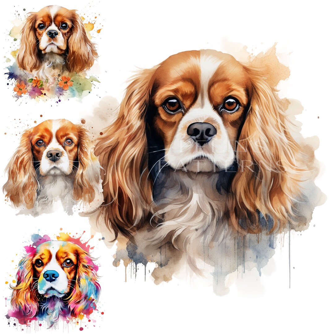 King Charles Spaniel Png Clipart - Etsy