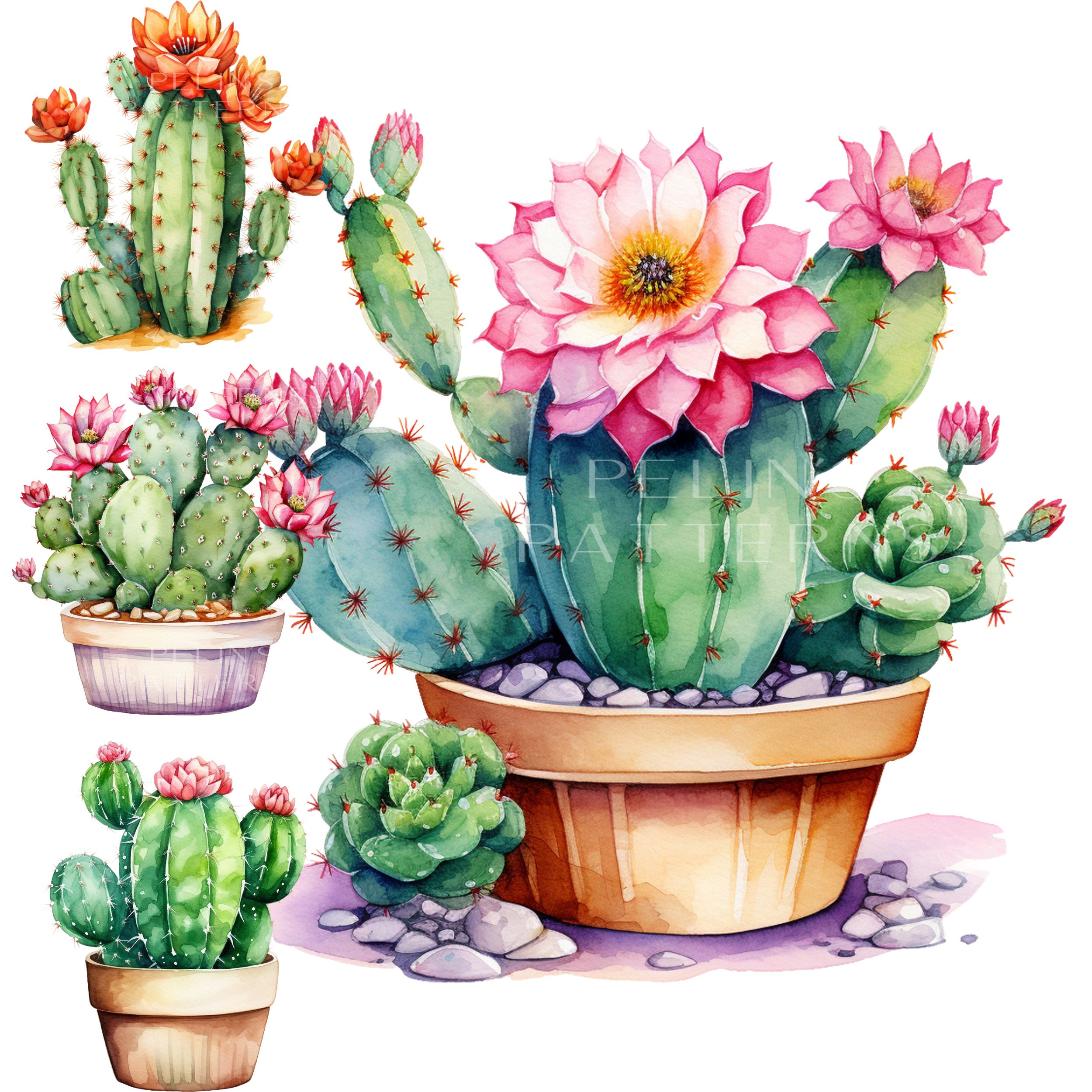 Cactus Clipart PNG - Etsy
