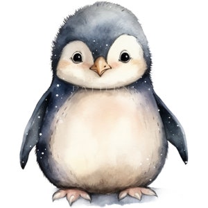 Watercolor Penguin Clipart PNG - Etsy