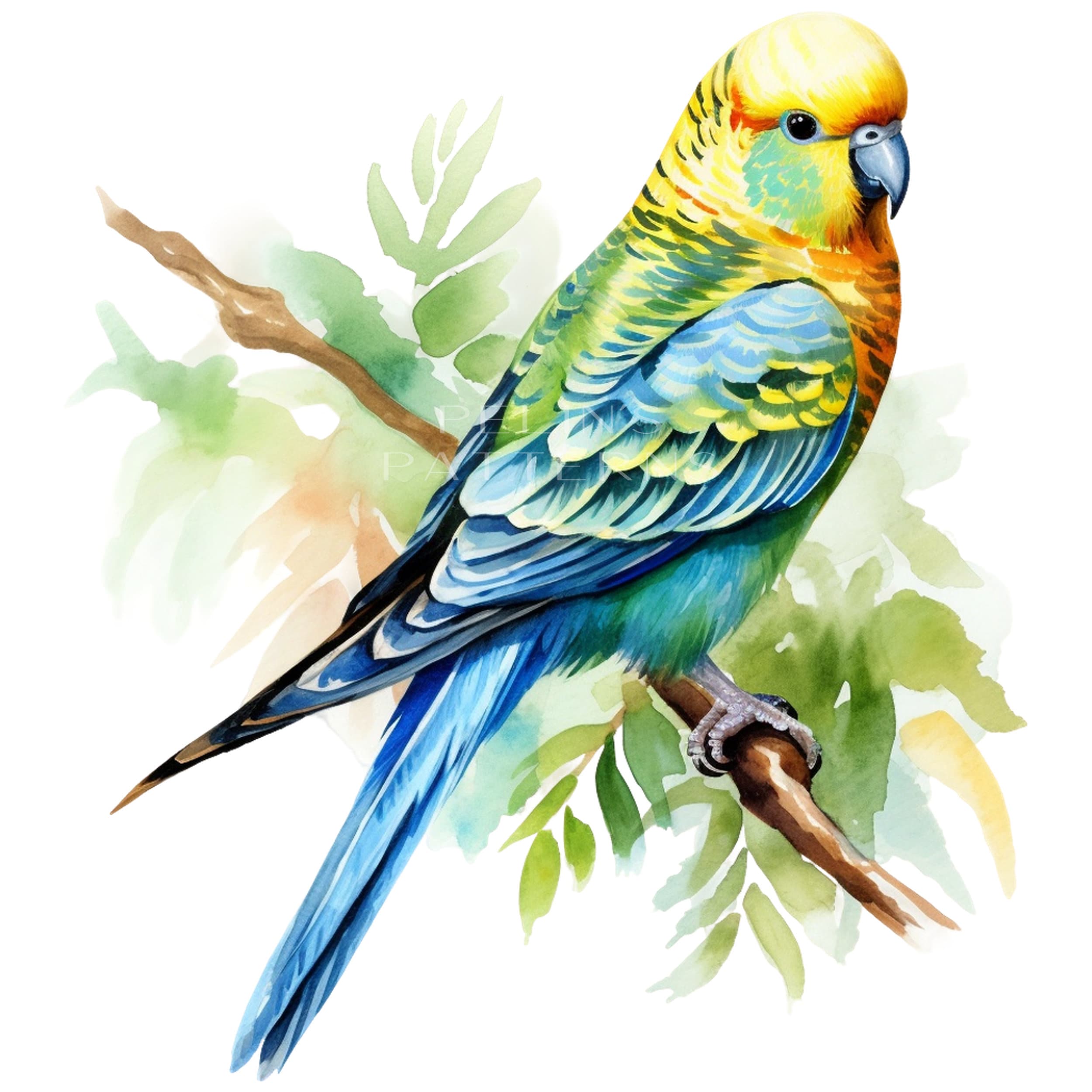 Parakeet Png Clipart - Etsy