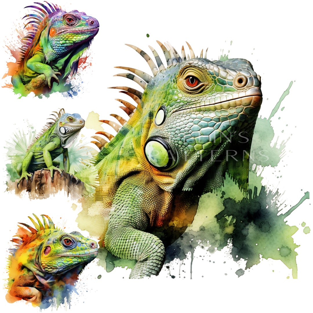 Iguana Clipart Png - Etsy