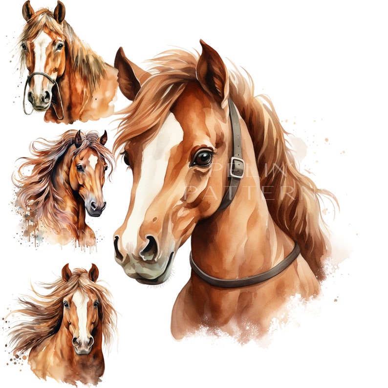 Watercolor Horse Clipart PNG - Etsy