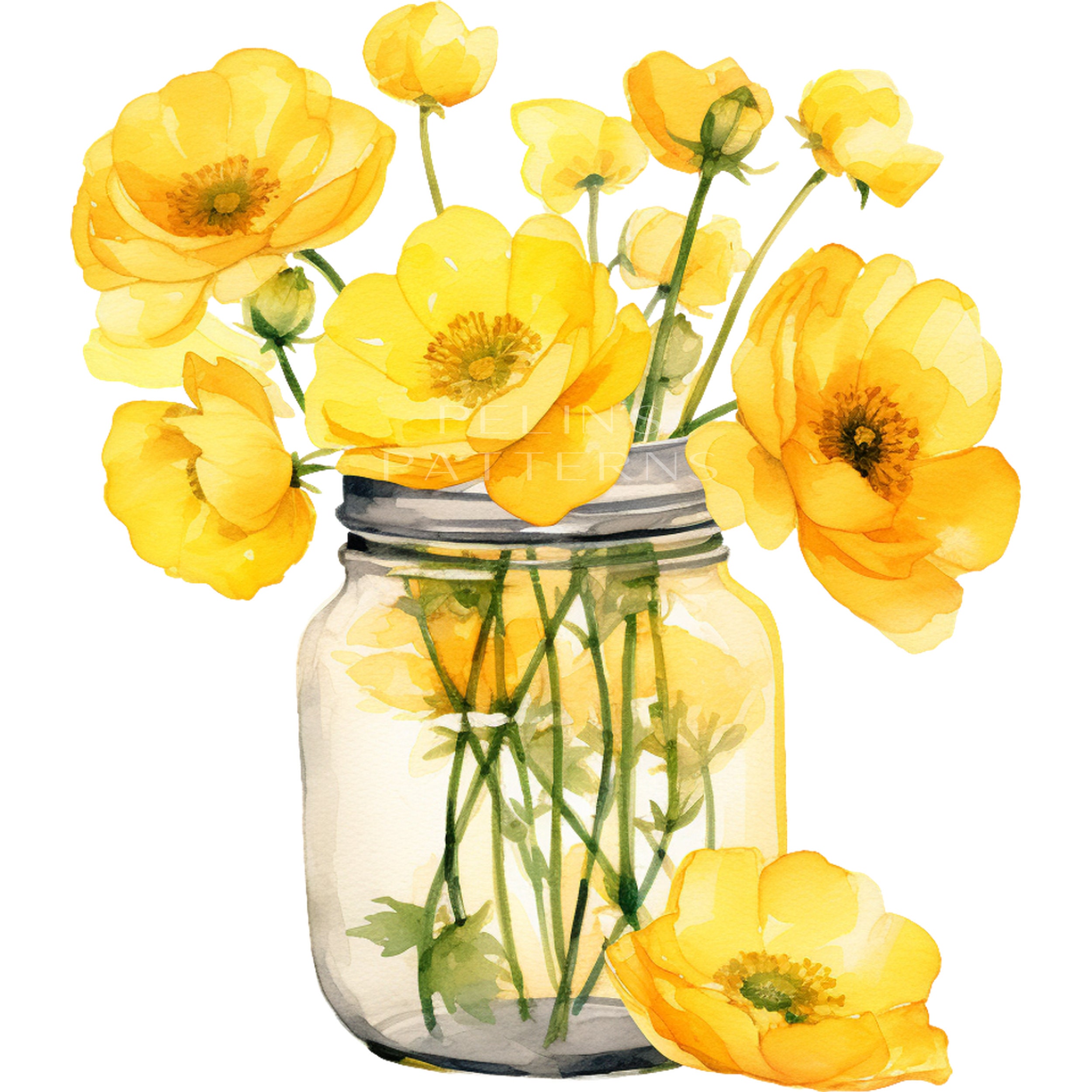 Buttercup PNG Clipart - Etsy