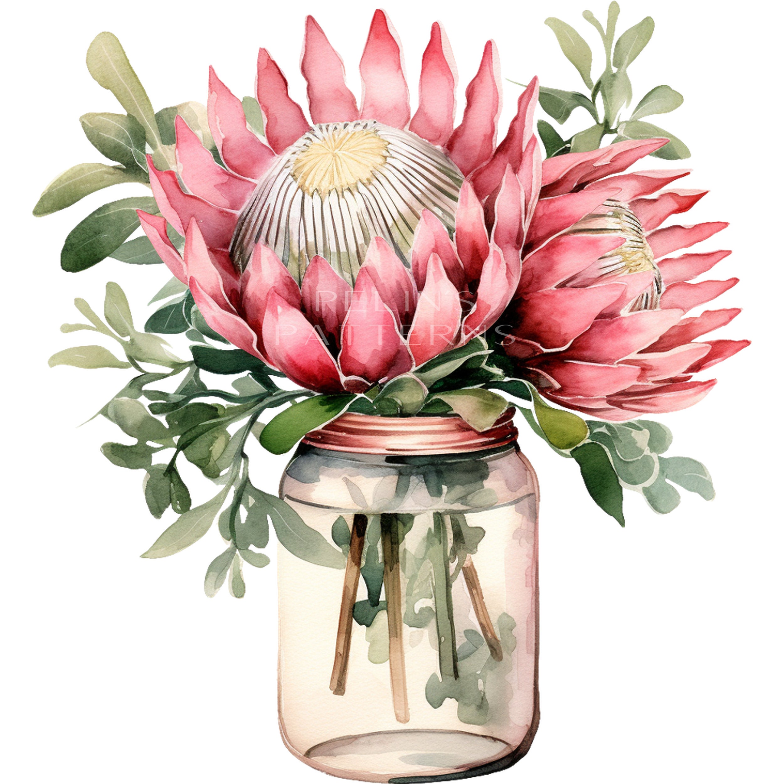 Protea PNG Clipart - Etsy