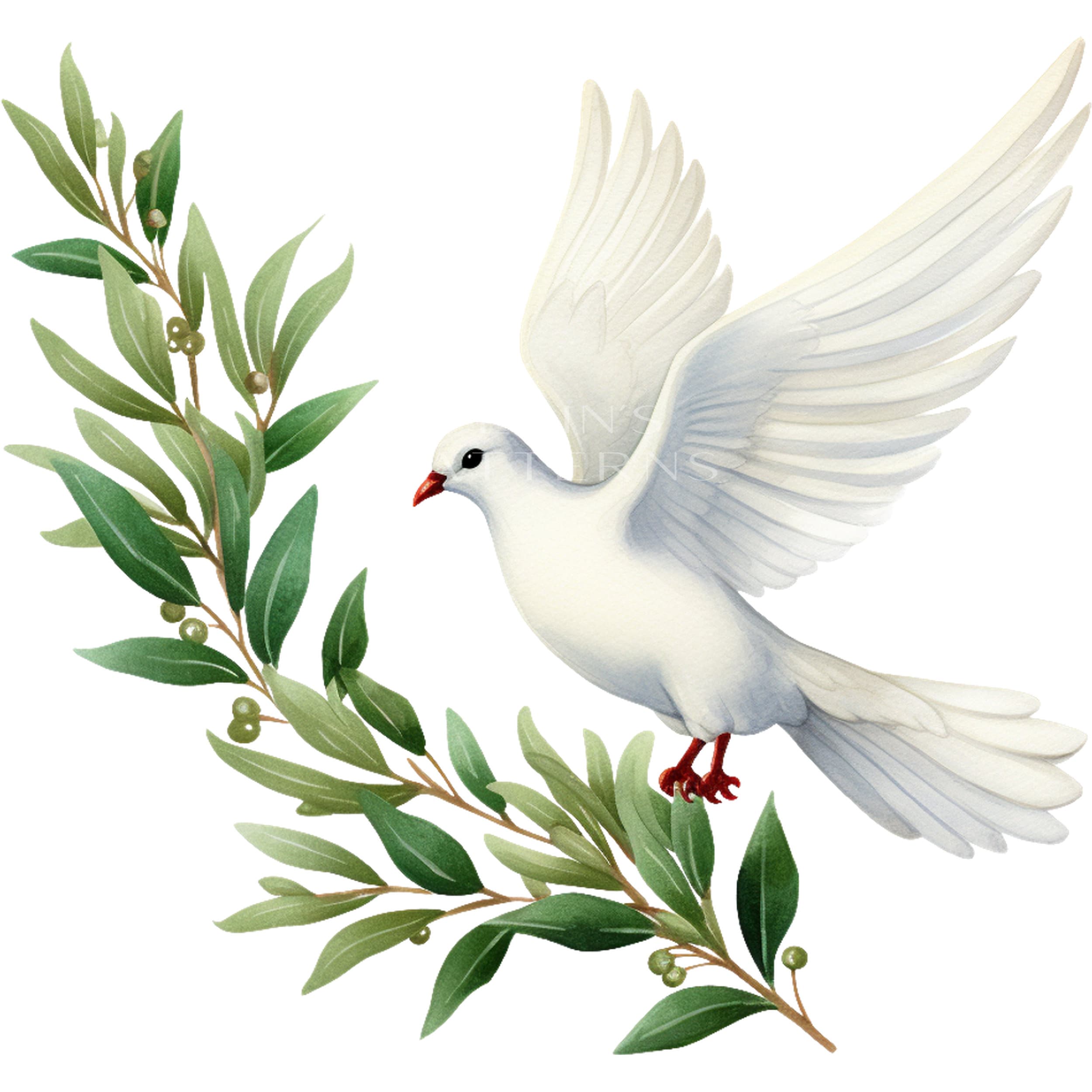 Christmas Dove Watercolor Clipart PNG, Christmas Illustration PNG - Etsy