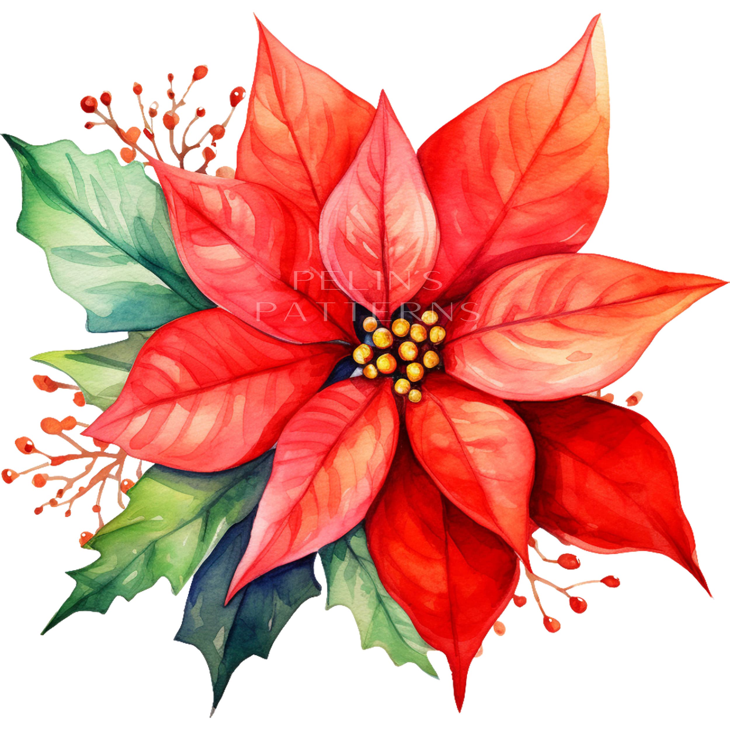 Christmas Poinsettia Watercolor Clipart PNG, Christmas Illustration PNG ...