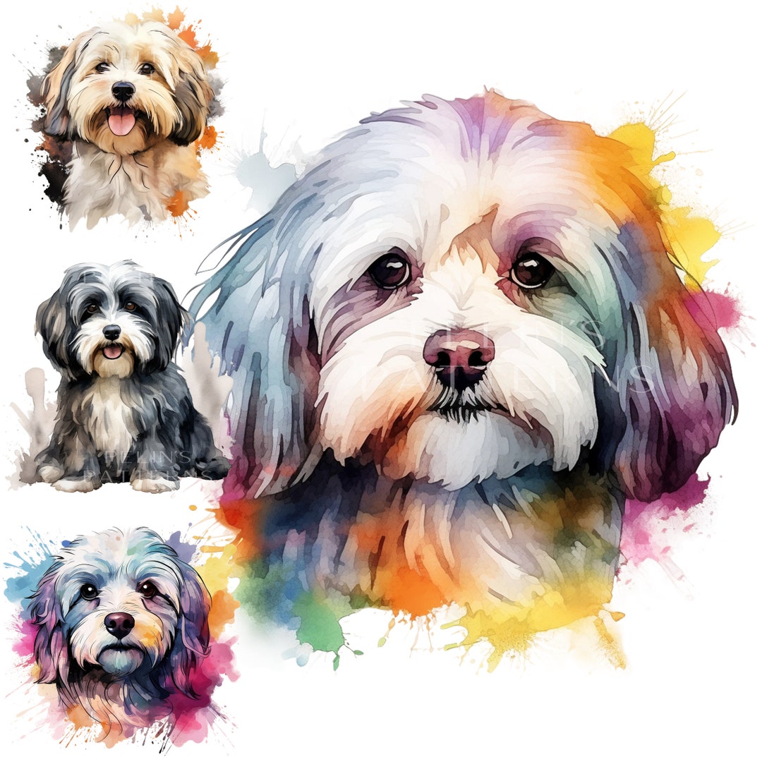 Havanese Dog Png Clipart - Etsy