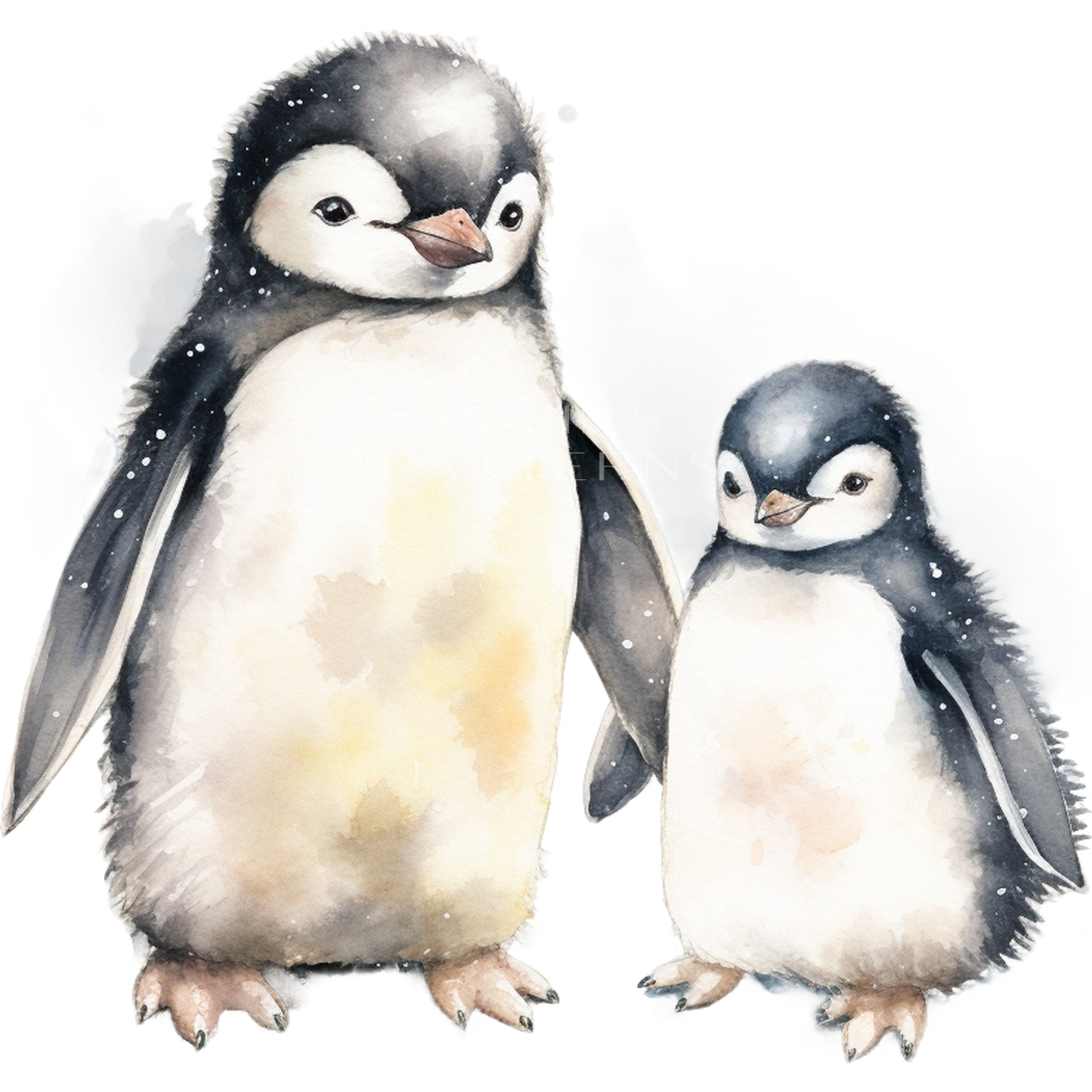 Watercolor Penguin Clipart PNG - Etsy