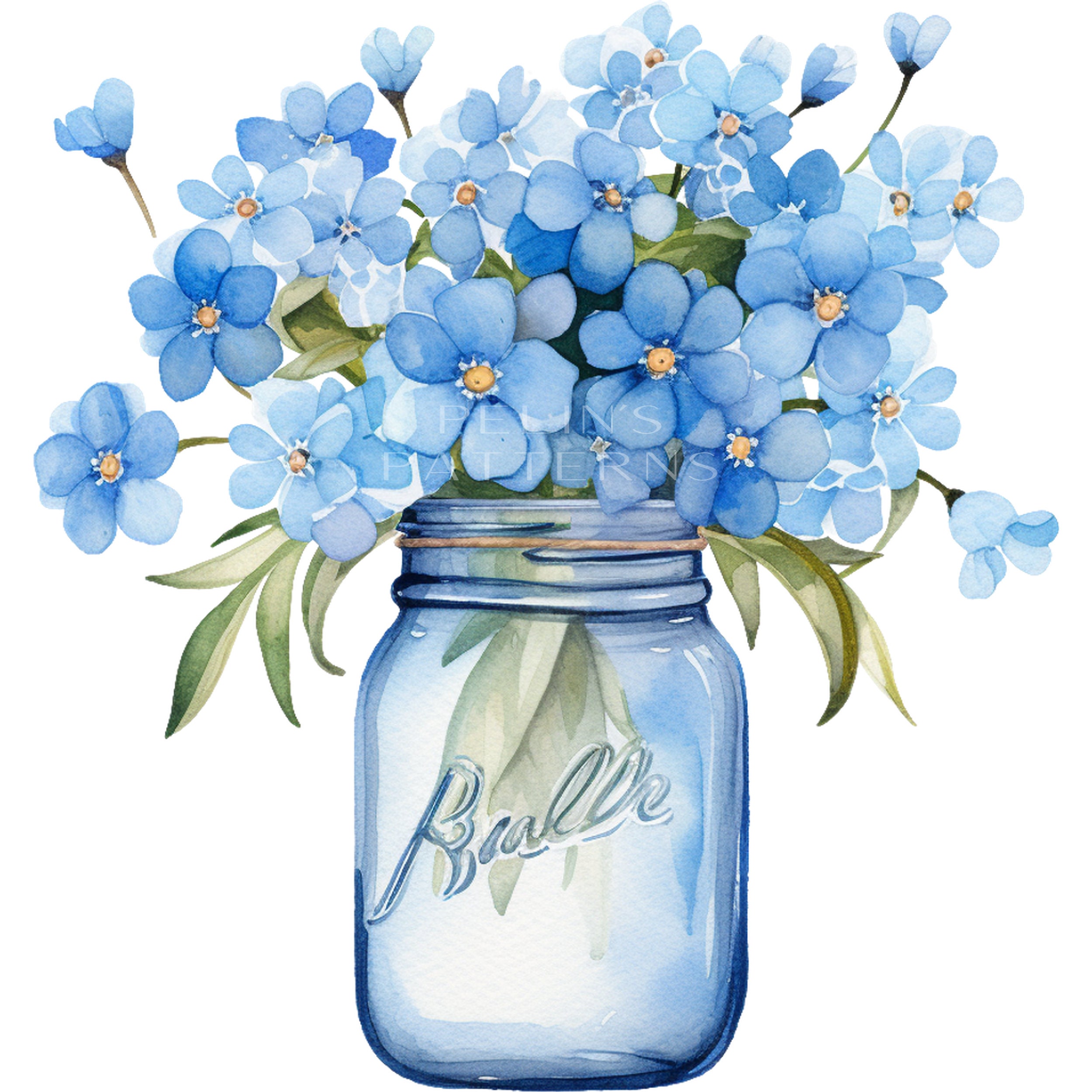 Forget-me-not PNG Clipart - Etsy