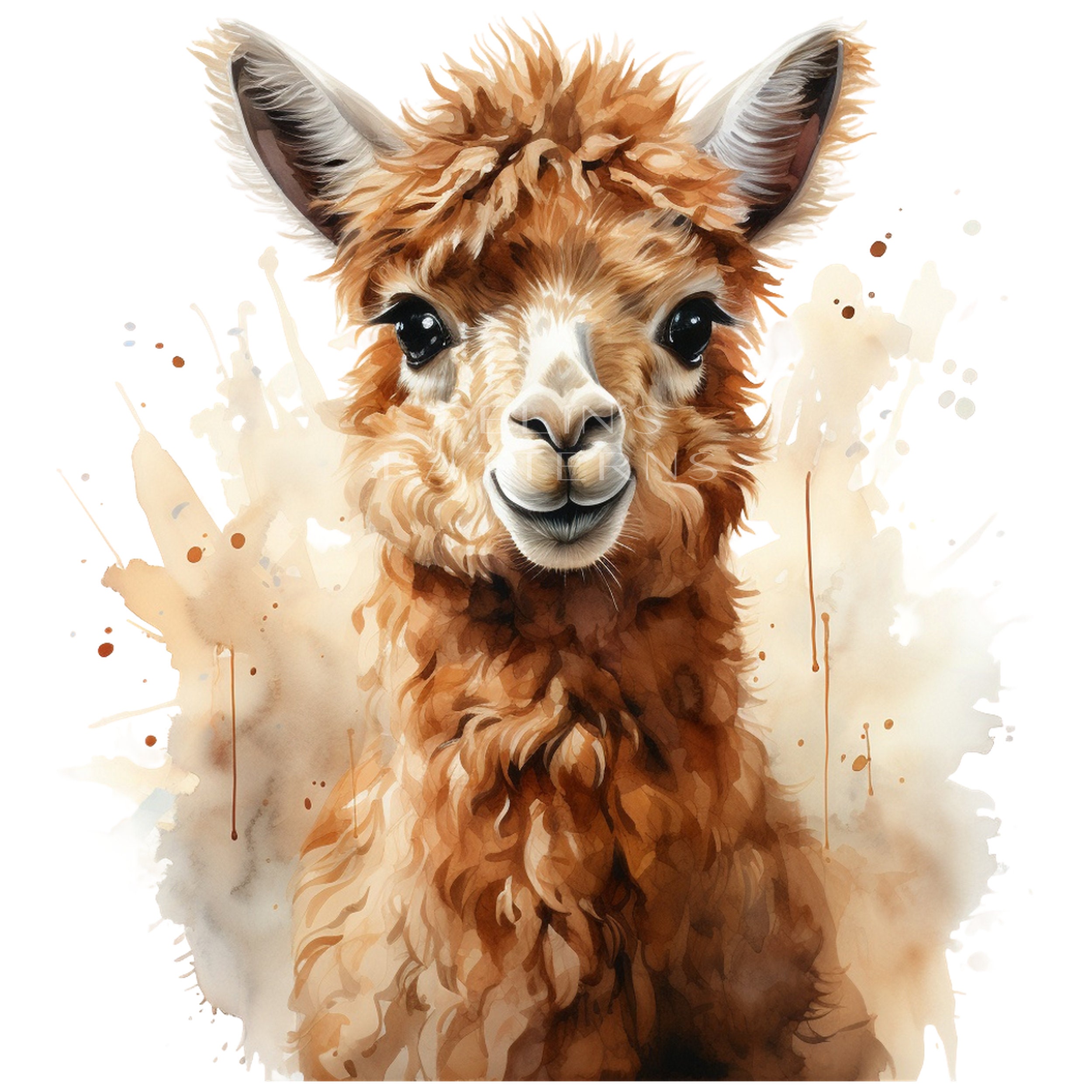Alpaca Png Clipart - Etsy